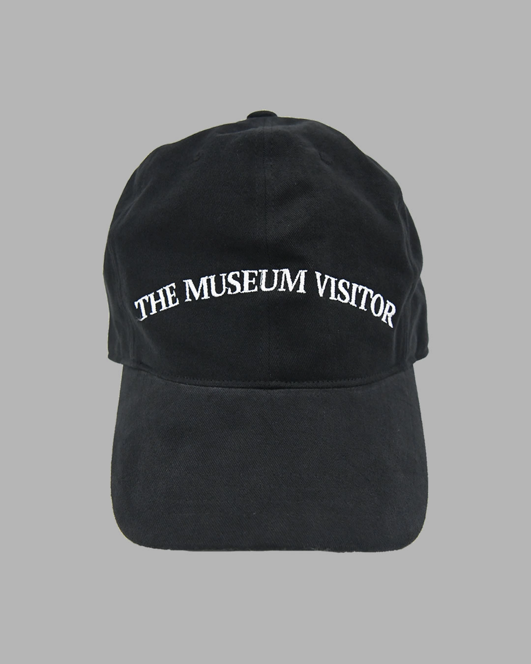 THE MUSEUM VISITOR