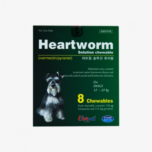 애니로그세트(anilog SET) : 애니로그