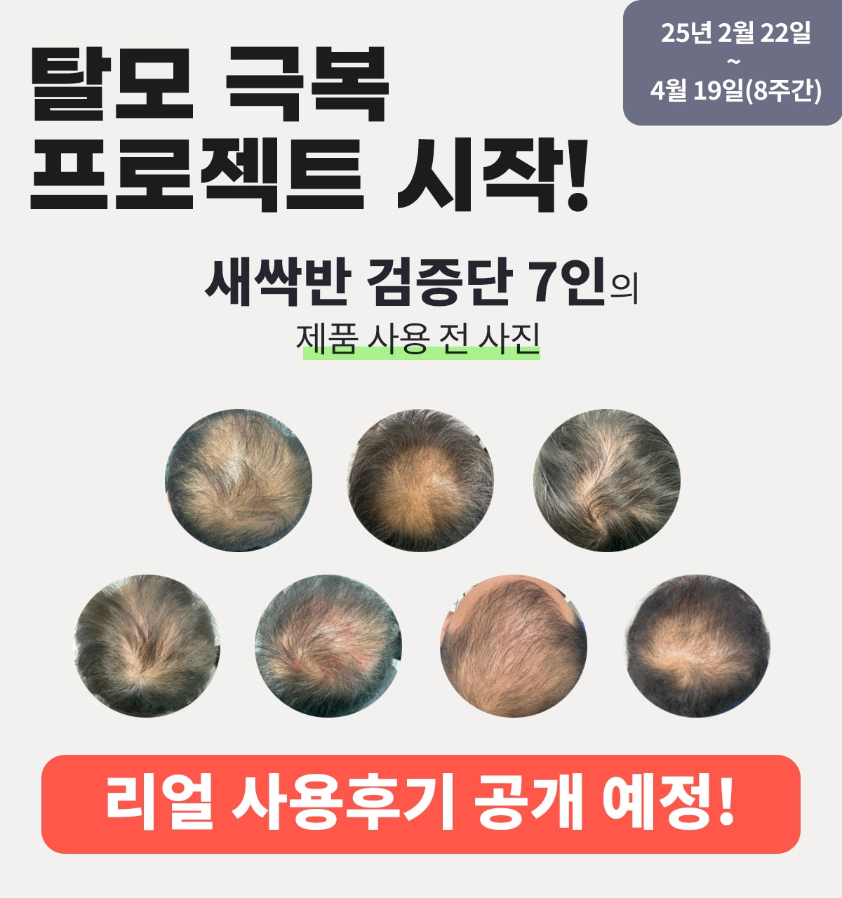 쥬디메르 | Jeu'Demeure