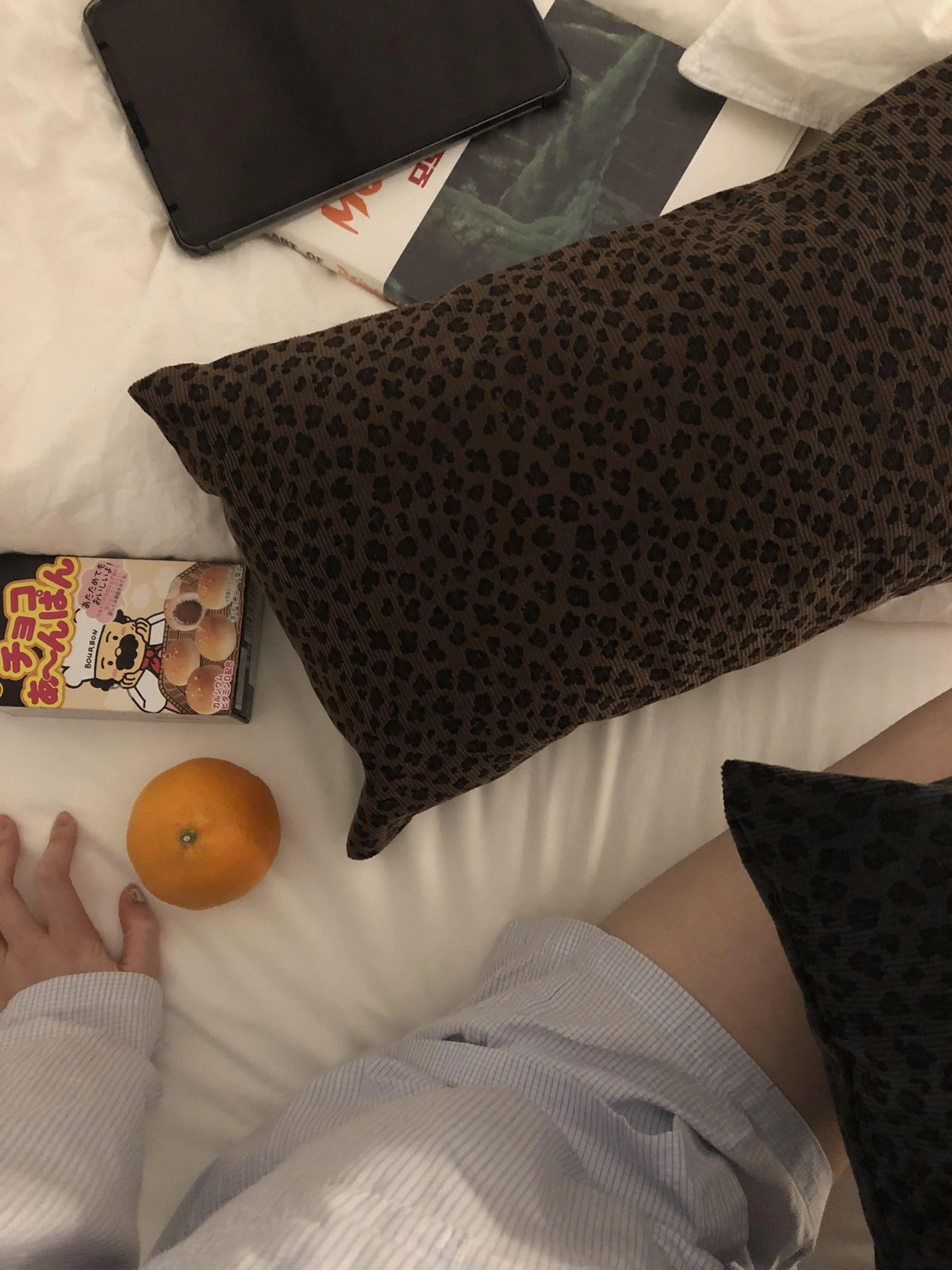 샵 다소니 dasoni